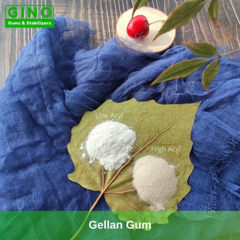 The Application of Gellan Gum in Vegan Gummies Candy - Gino