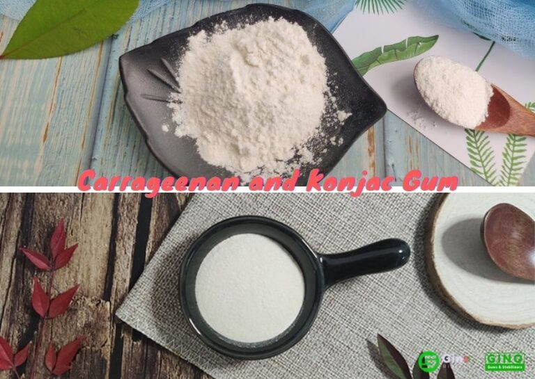The Magical Synergetic Effects of Kappa Carrageenan and Konjac Gum