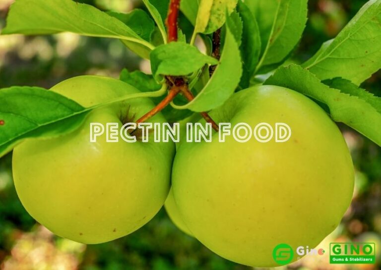 Development Prospect of Pectin Application-Gino Gums