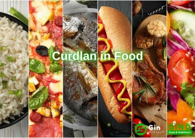 What is Curdlan Gum | Curdlan in Food