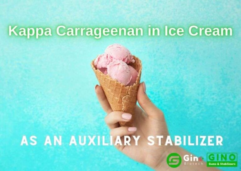 e407 Kappa Carrageenan in Ice Cream - Auxiliary but Essential Stabilizer
