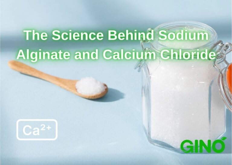 A Step-by-Step Guide: How to Make Sodium Alginate Gel