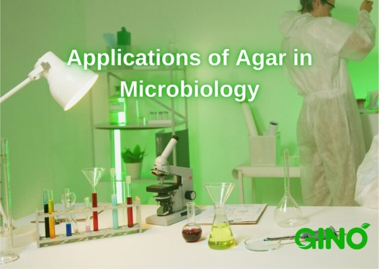 Understanding The Roles of Agar in Microbiology